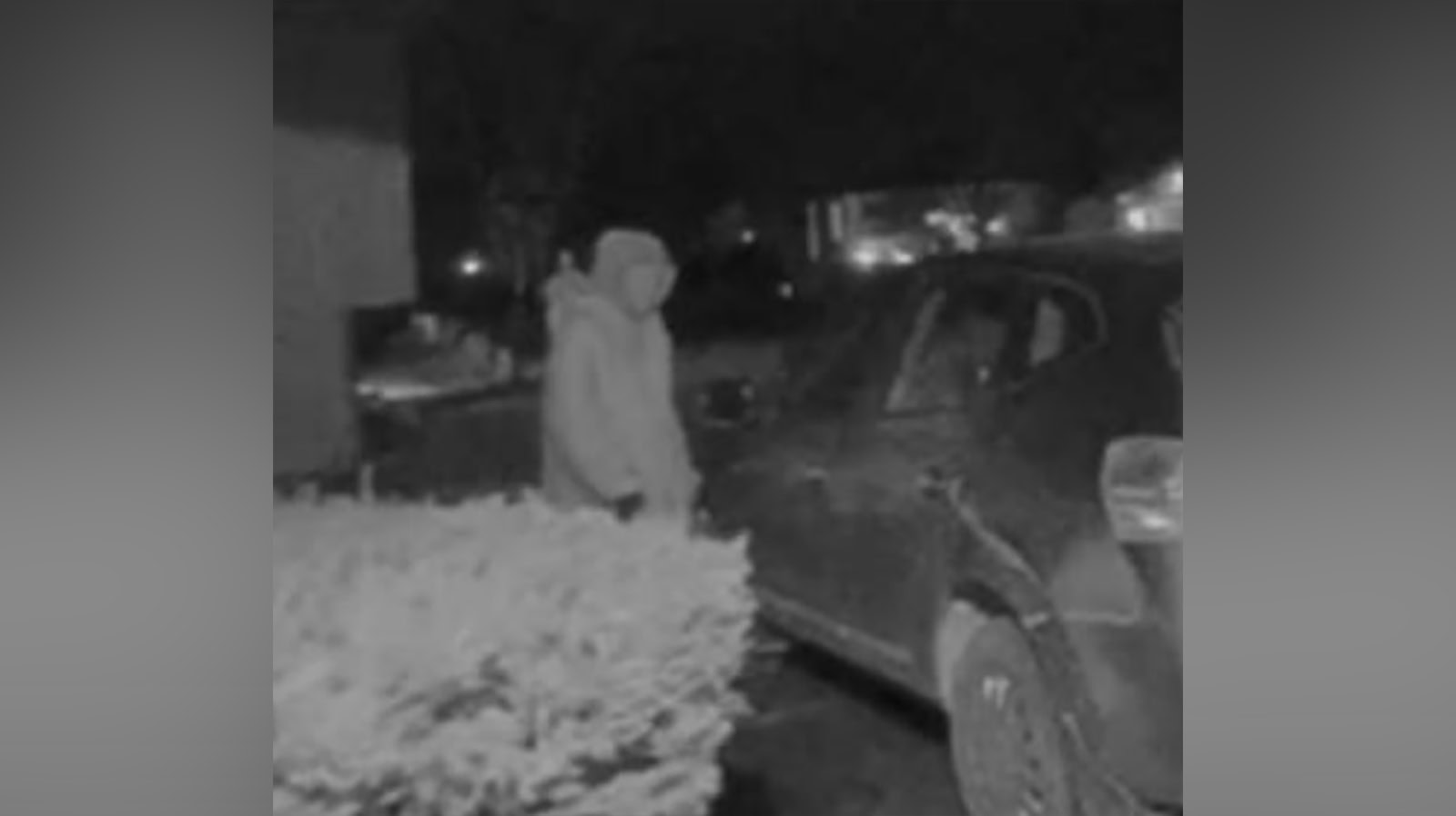 Masked suspect points gun at victim's head, pistol-whips him after ...