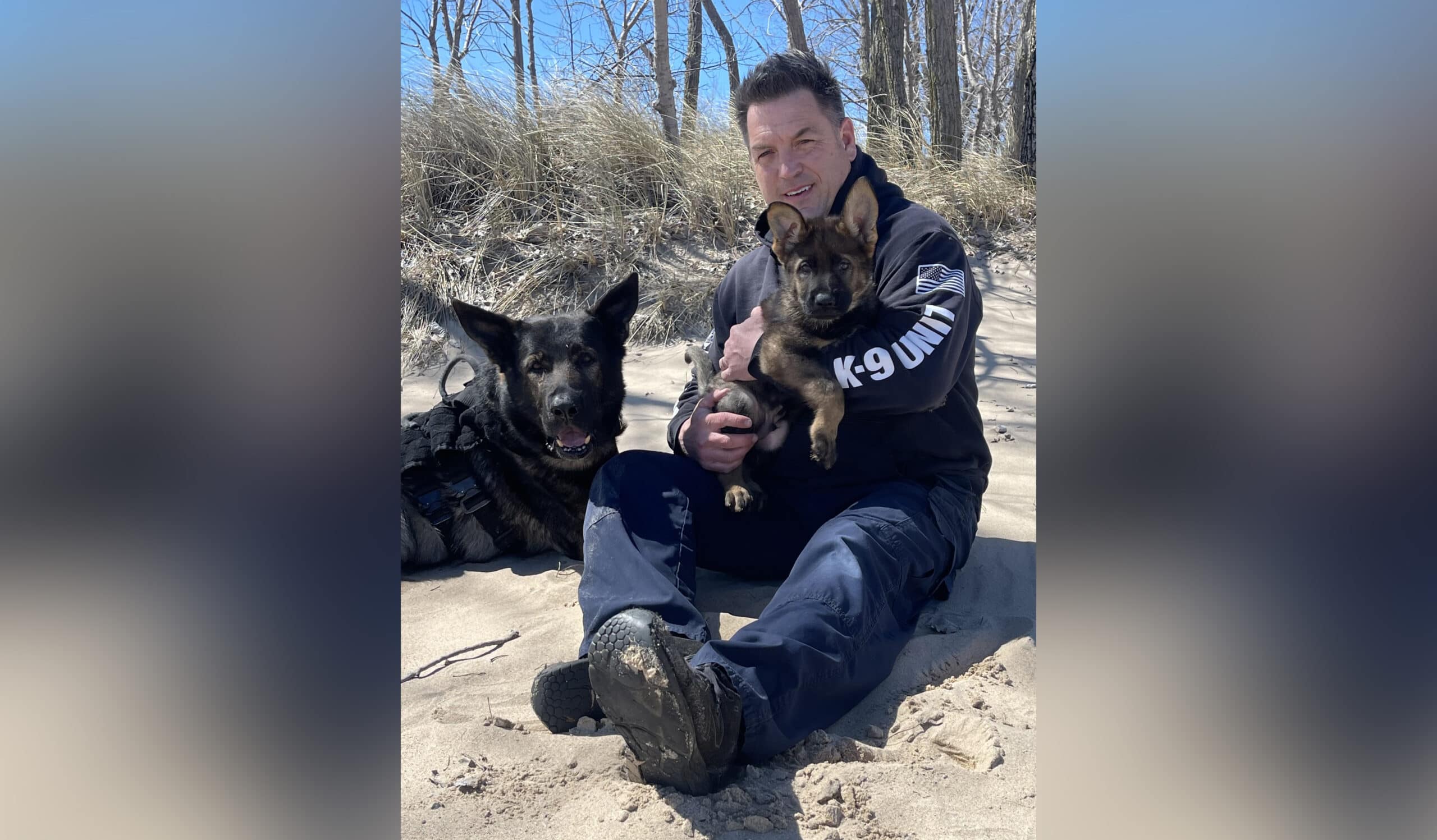 Lake County Sheriff's Office announces 2 new canines joining agency ...