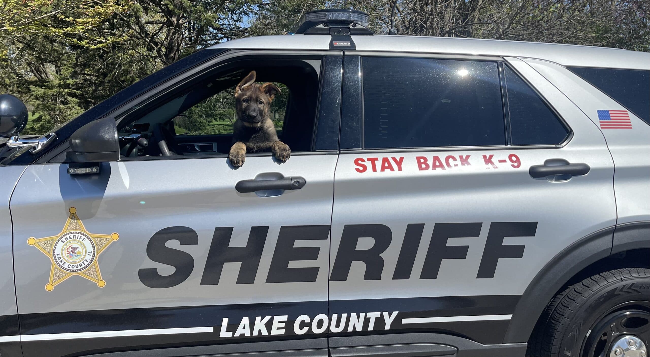 Lake County Sheriff's Office announces Canine Dax's son as newest ...