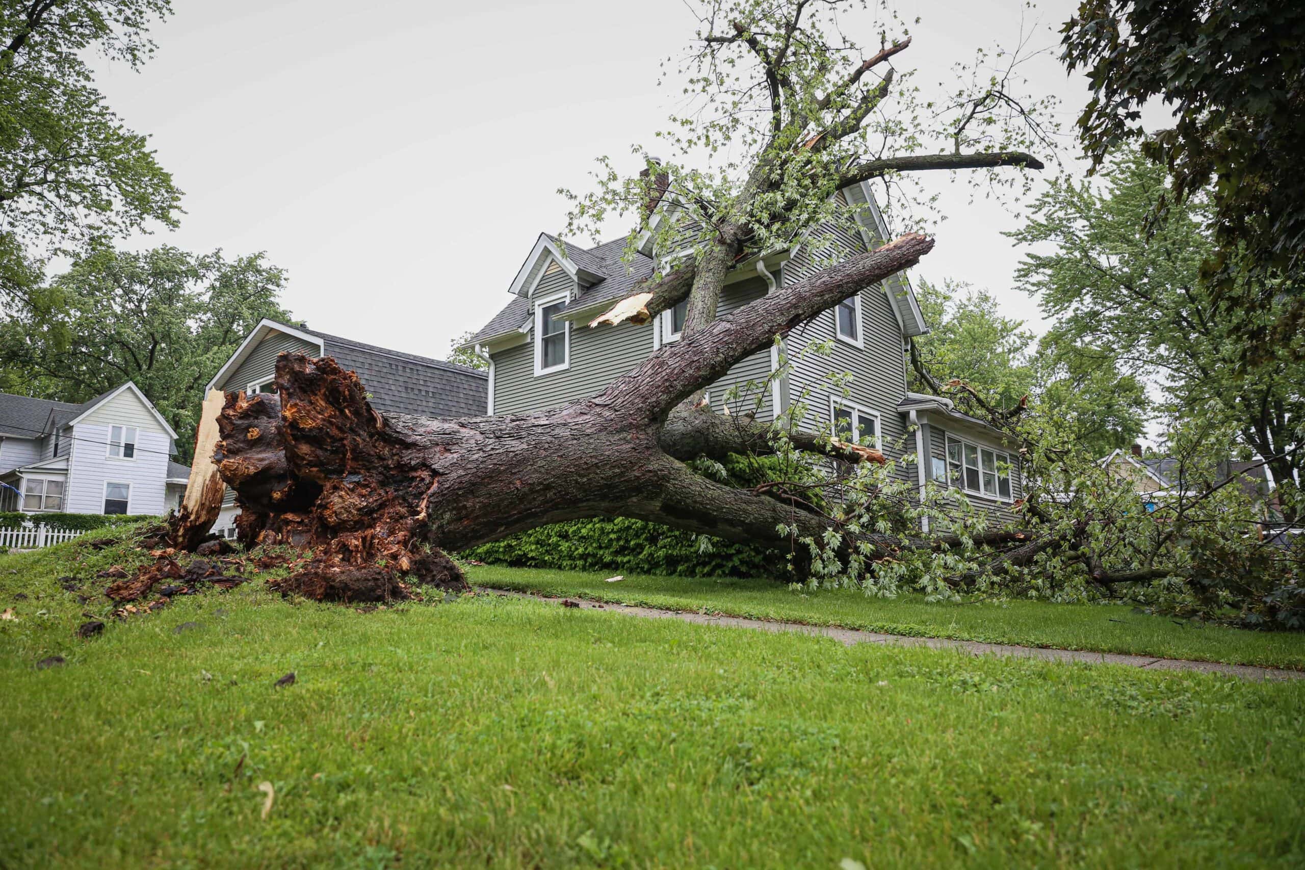 Firefighters respond to downed tree on home, other calls during severe ...